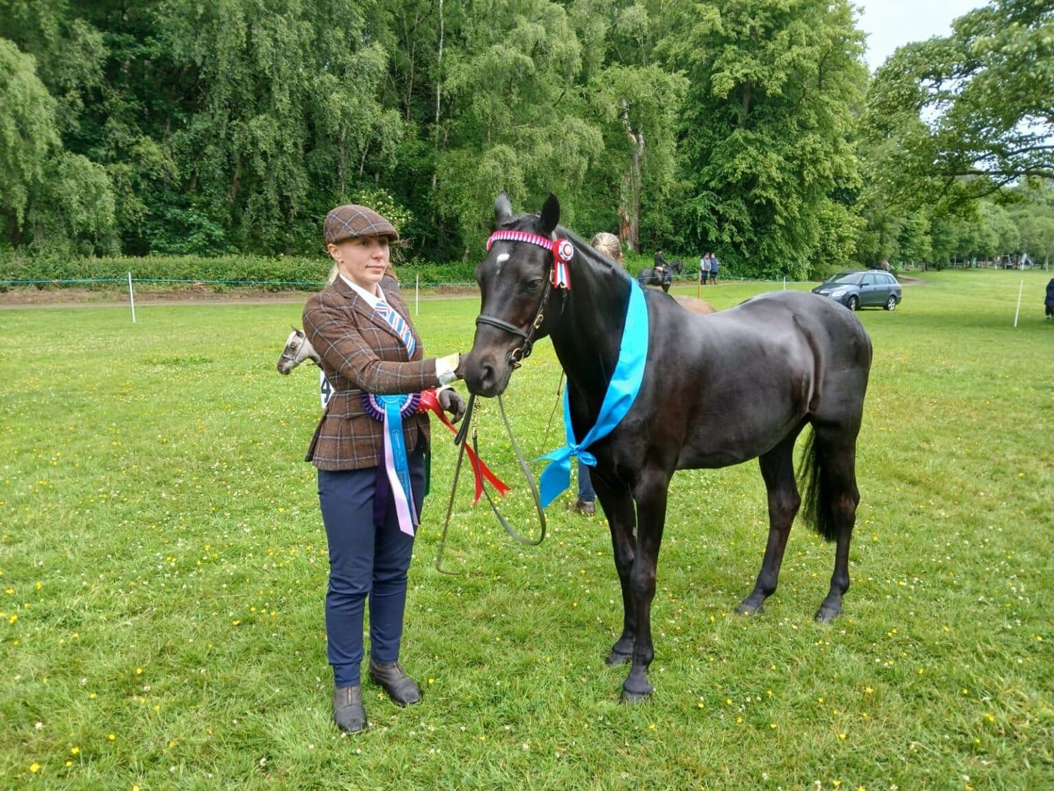 Ribble Valley Riding Club Show | 06 Jul 2025 at 9:00 am | Witton ...